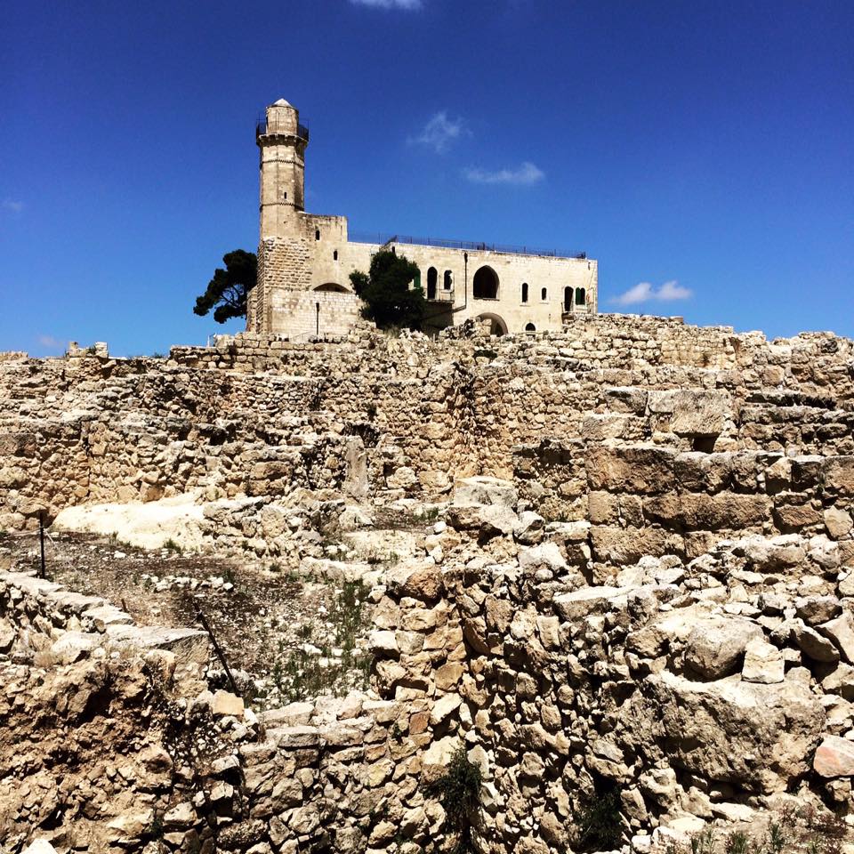 Discover our Research: Meet the academics | Birkbeck Research Blog