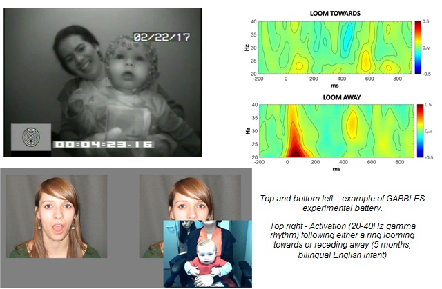Birkbeck’s BabyLab: Investigating neural underpinnings of the social ...